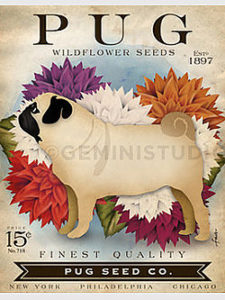 Tango & Chocolate - Pug Seed - Needle Nook