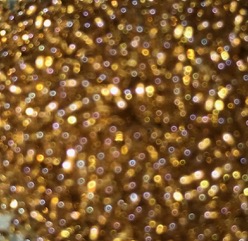 Sundance Beads - Toffee Crunch NEW COLOR - Needle Nook